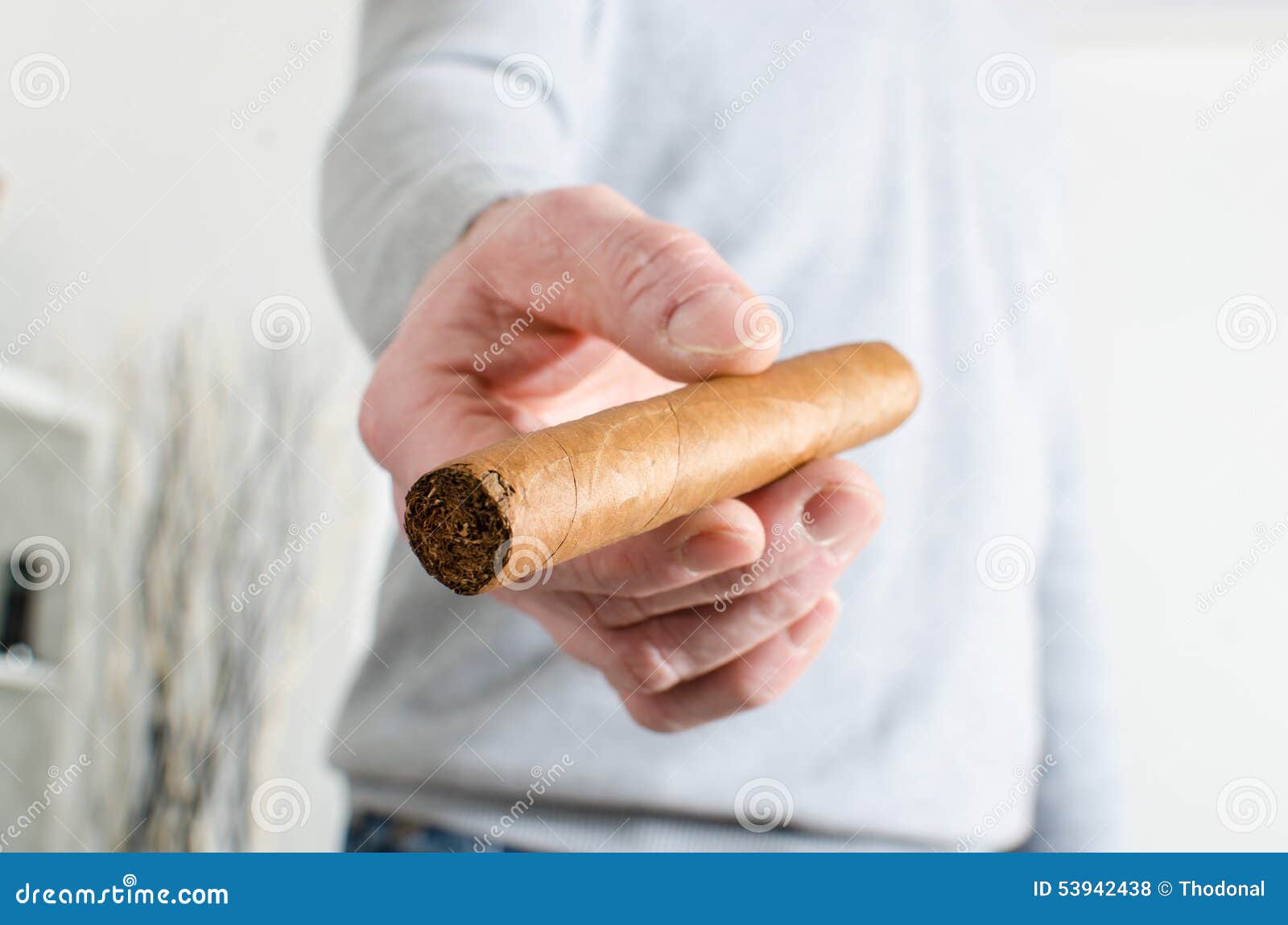 Man hand offering a cigar stock photo. Image of cigar - 53942438