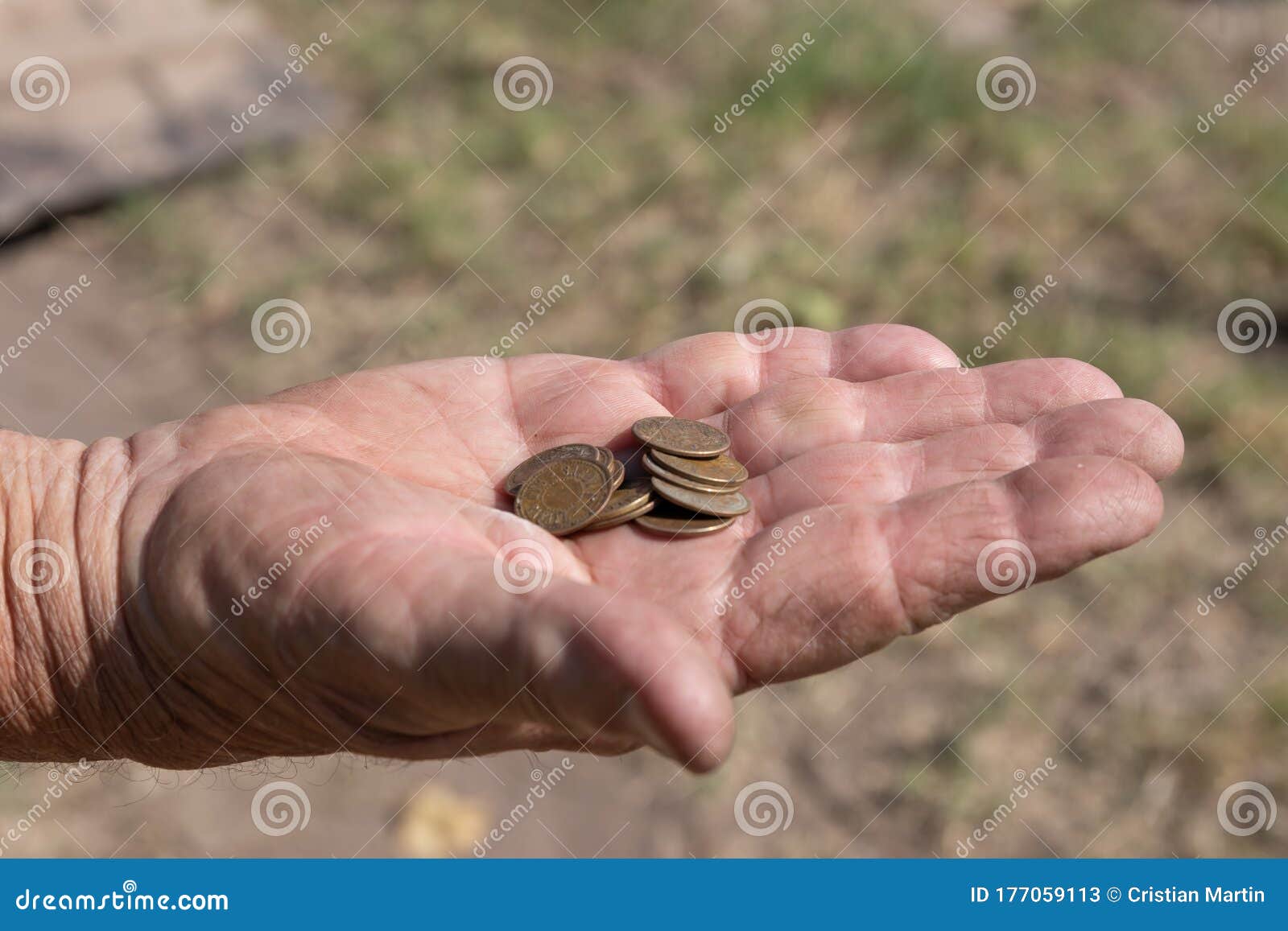 Man Hand with Payment Tokens at Grape Harvest Stock Image - Image of ...