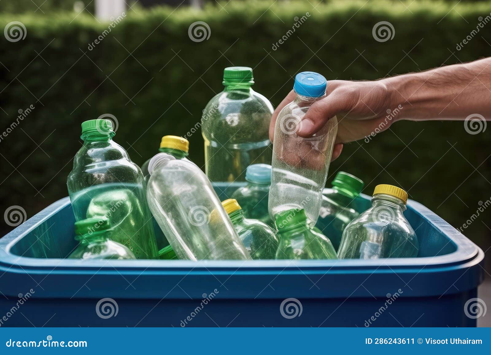 Man Hand Putting Plastic Bottle in Rubbish Bin for Recycling Stock ...