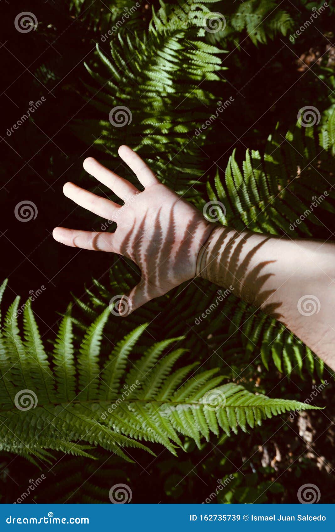 Man hand in the shadows stock image. Image of light - 162735739