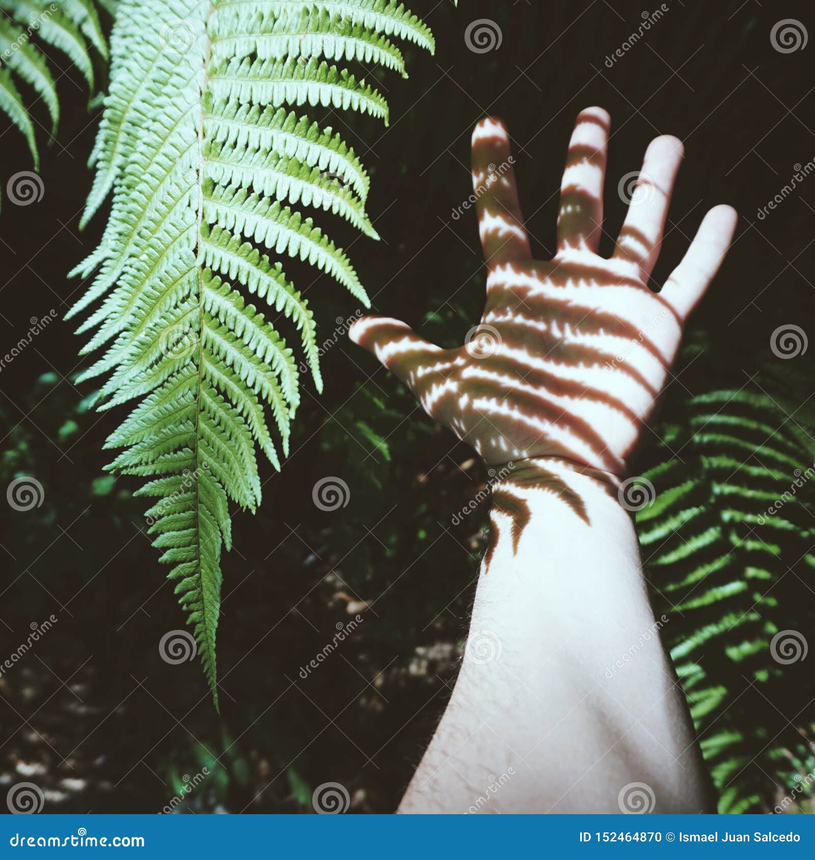 Man hand shadow silhouette stock photo. Image of person - 152464870