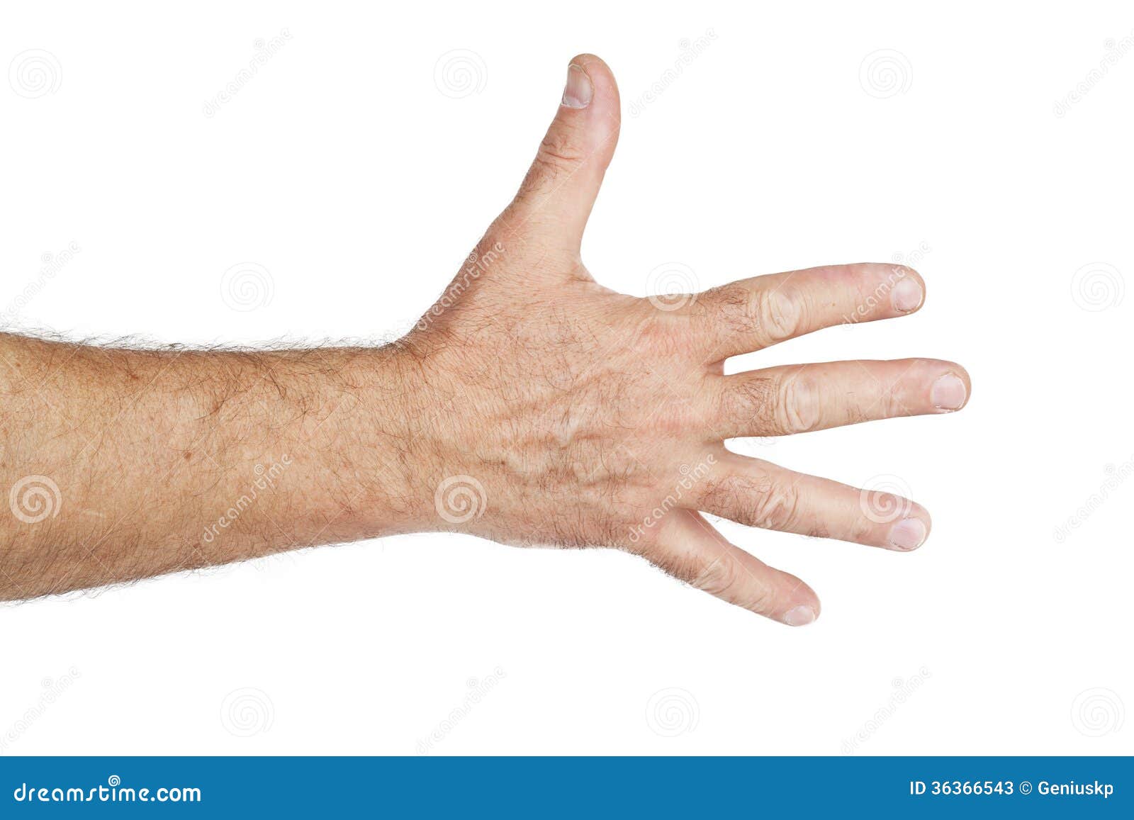 Man hand sign stock image. Image of number, palm, european - 36366543