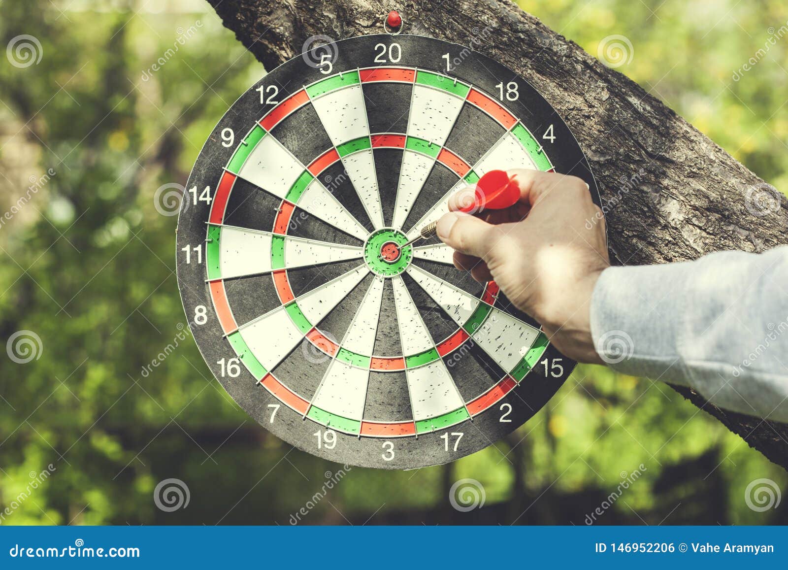 Target Tree Marks Stock Image | CartoonDealer.com #132359833