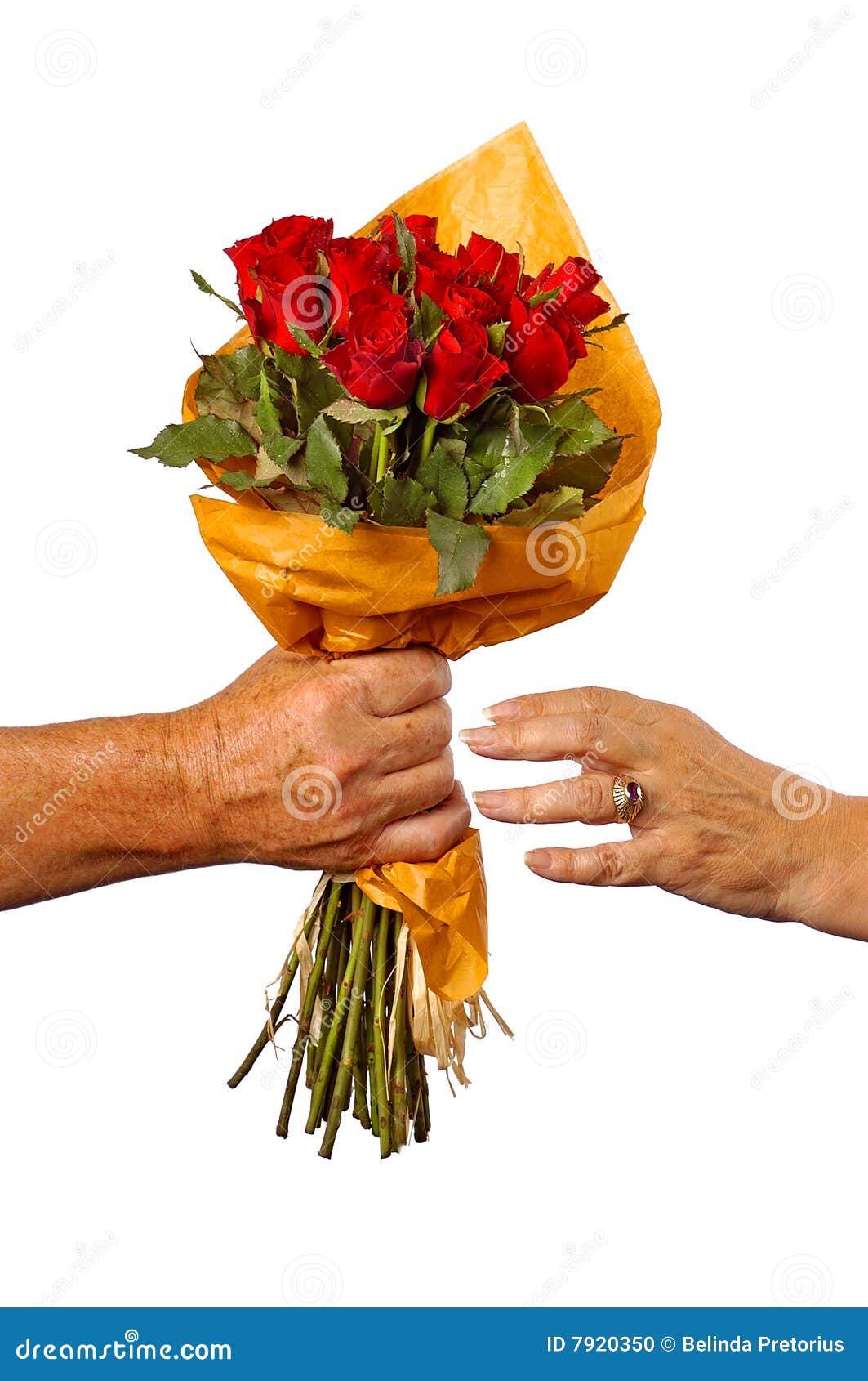 A Man Handing a Women Red Roses Stock Photo - Image of glitter, love ...