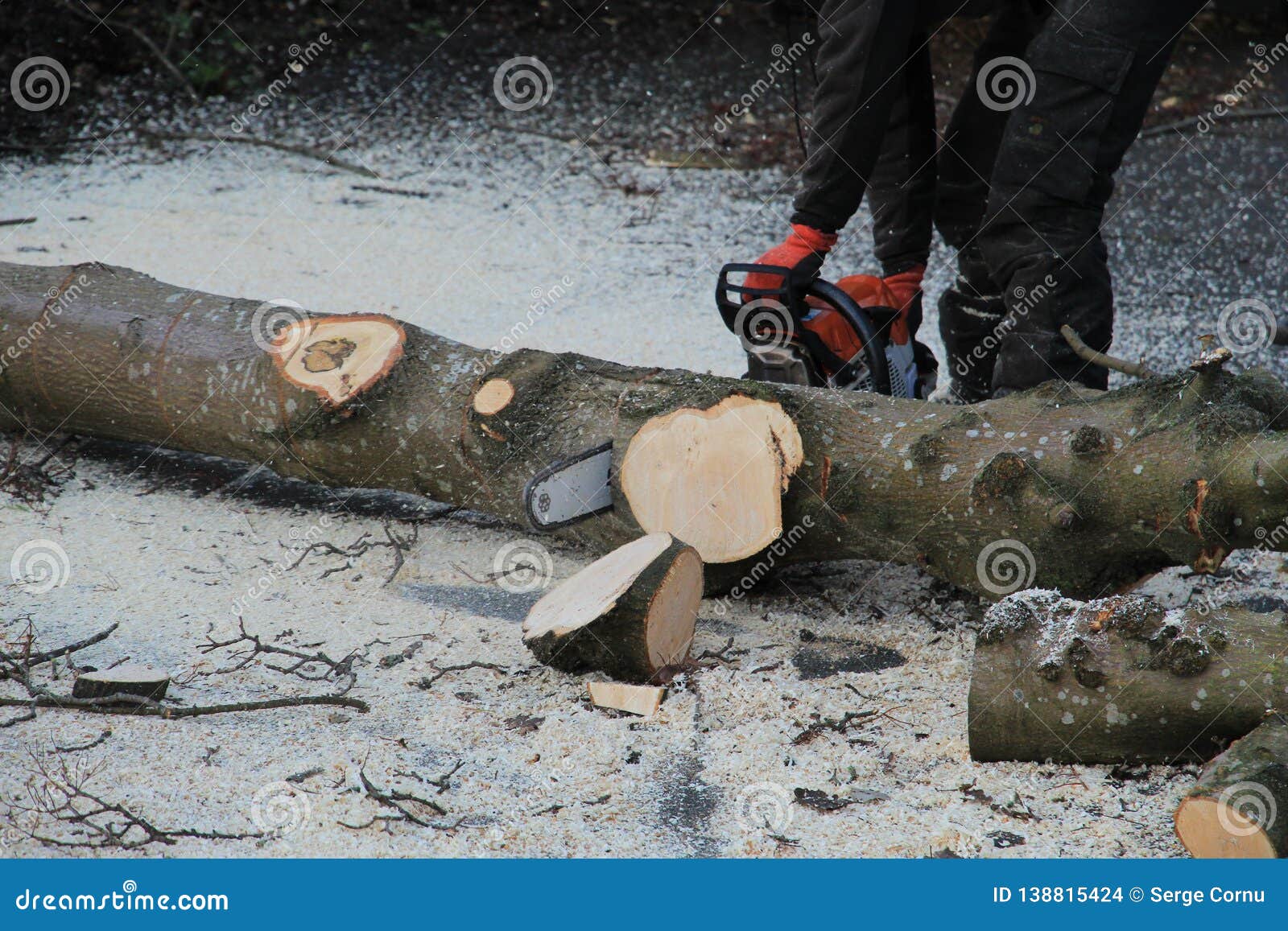 Man Handling a Chainsaw stock photo. Image of urban - 138815424