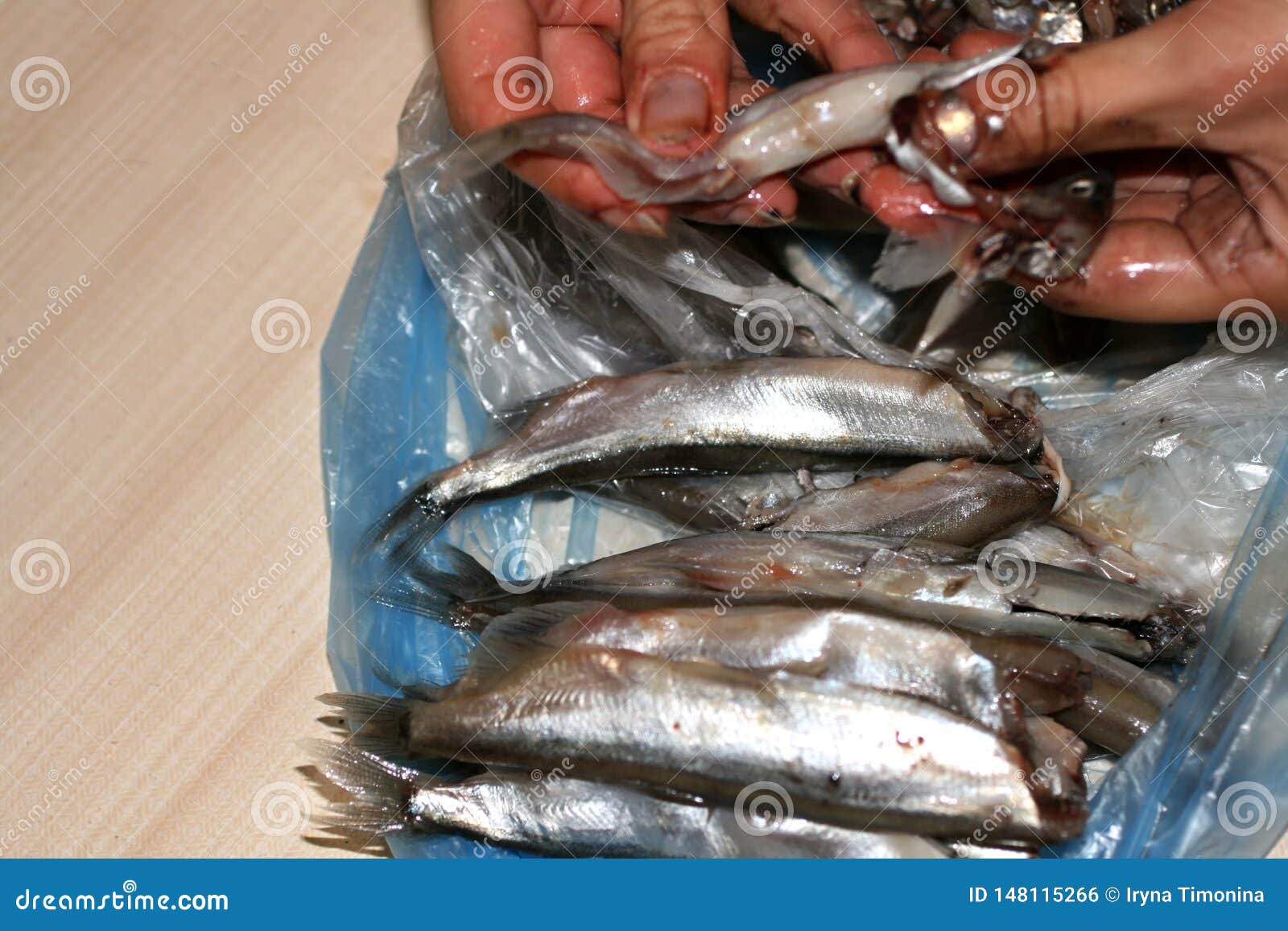 Man Hands Cleans Fish Capelin. Pulling Guts Out of Fish. Stock Photo ...