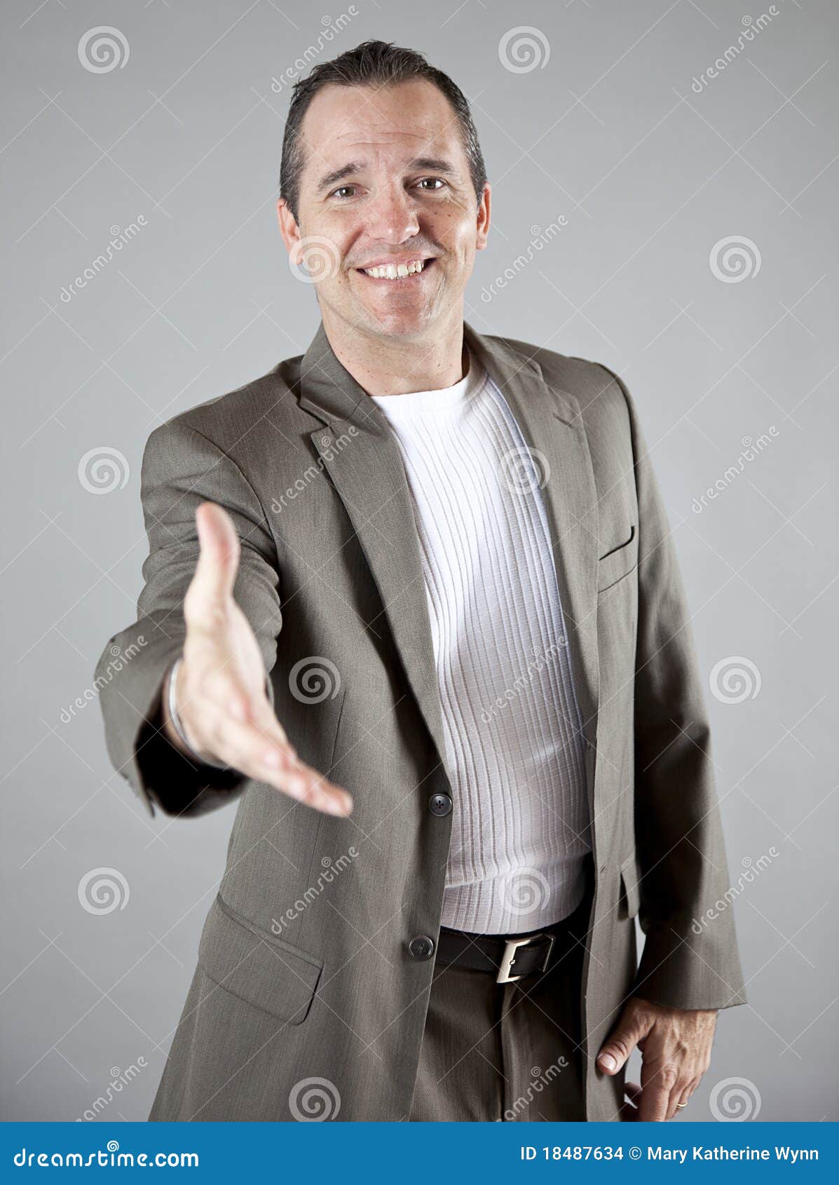 Man handshake stock photo. Image of handsome, success - 18487634