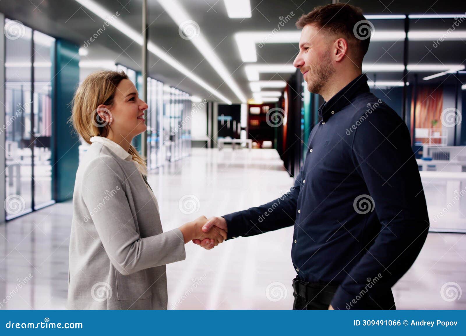 Man Handshake with Partner stock photo. Image of union - 309491066