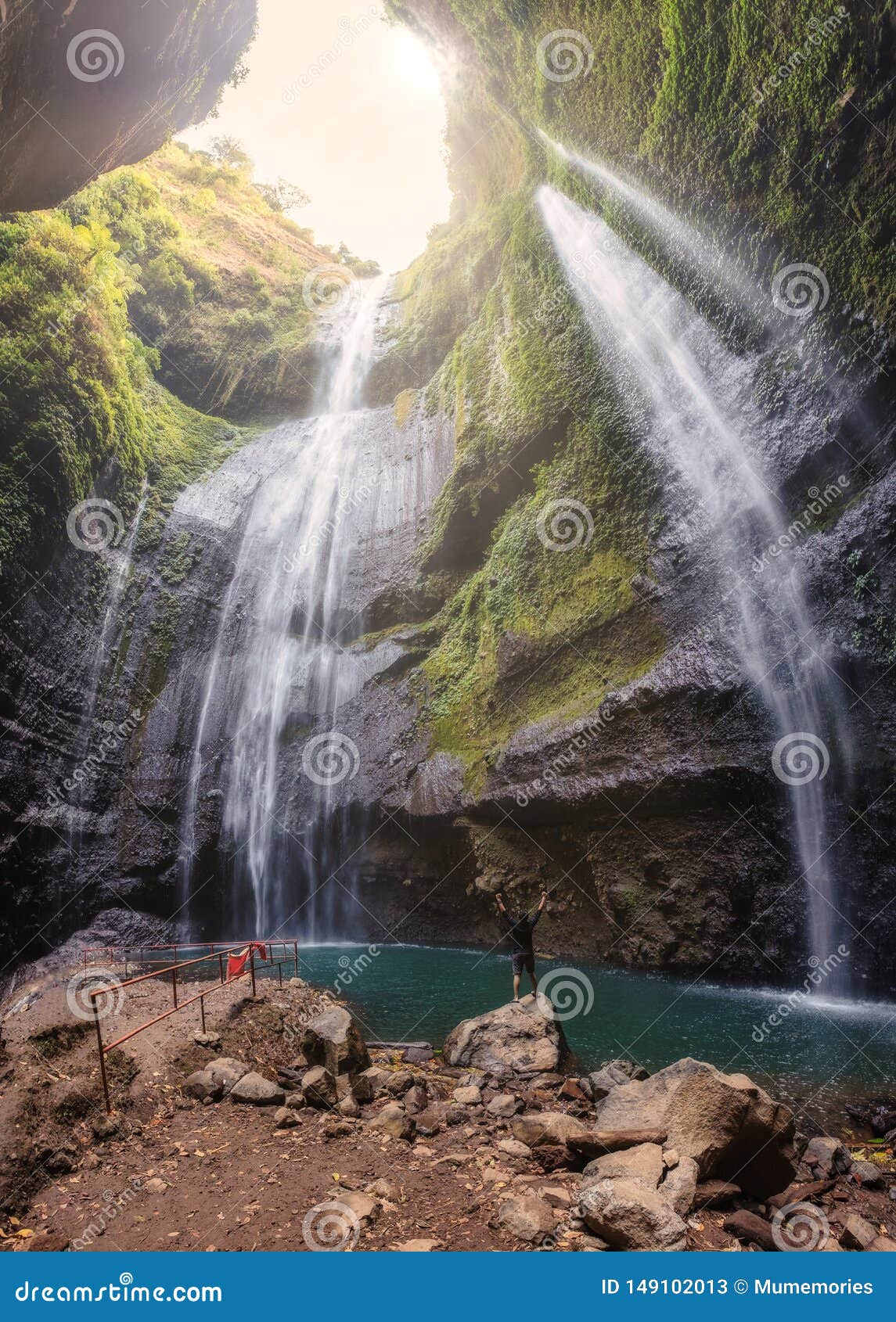 Man is Happy on Rocks in Madakaripura Waterfall in Tropical Rainforest ...