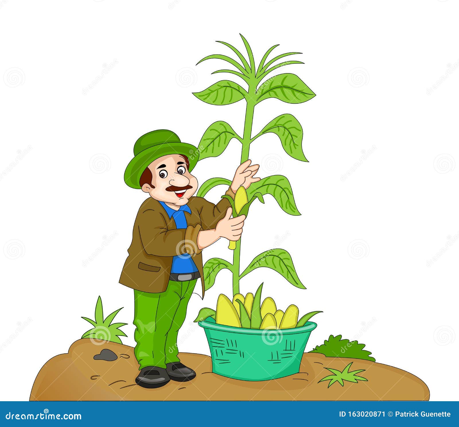 Man Harvesting Corn, Illustration Stock Vector - Illustration of vector ...