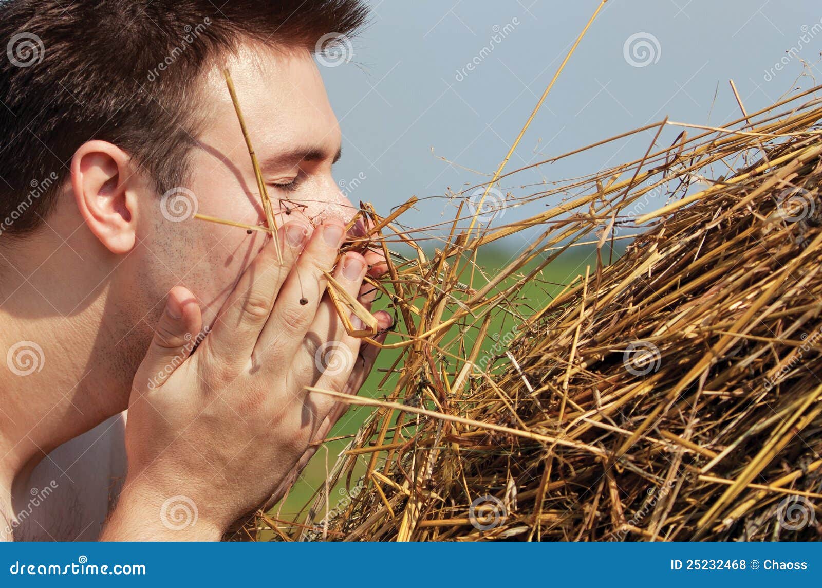 Man with hay stock photo. Image of touch, portrait, harmony - 25232468