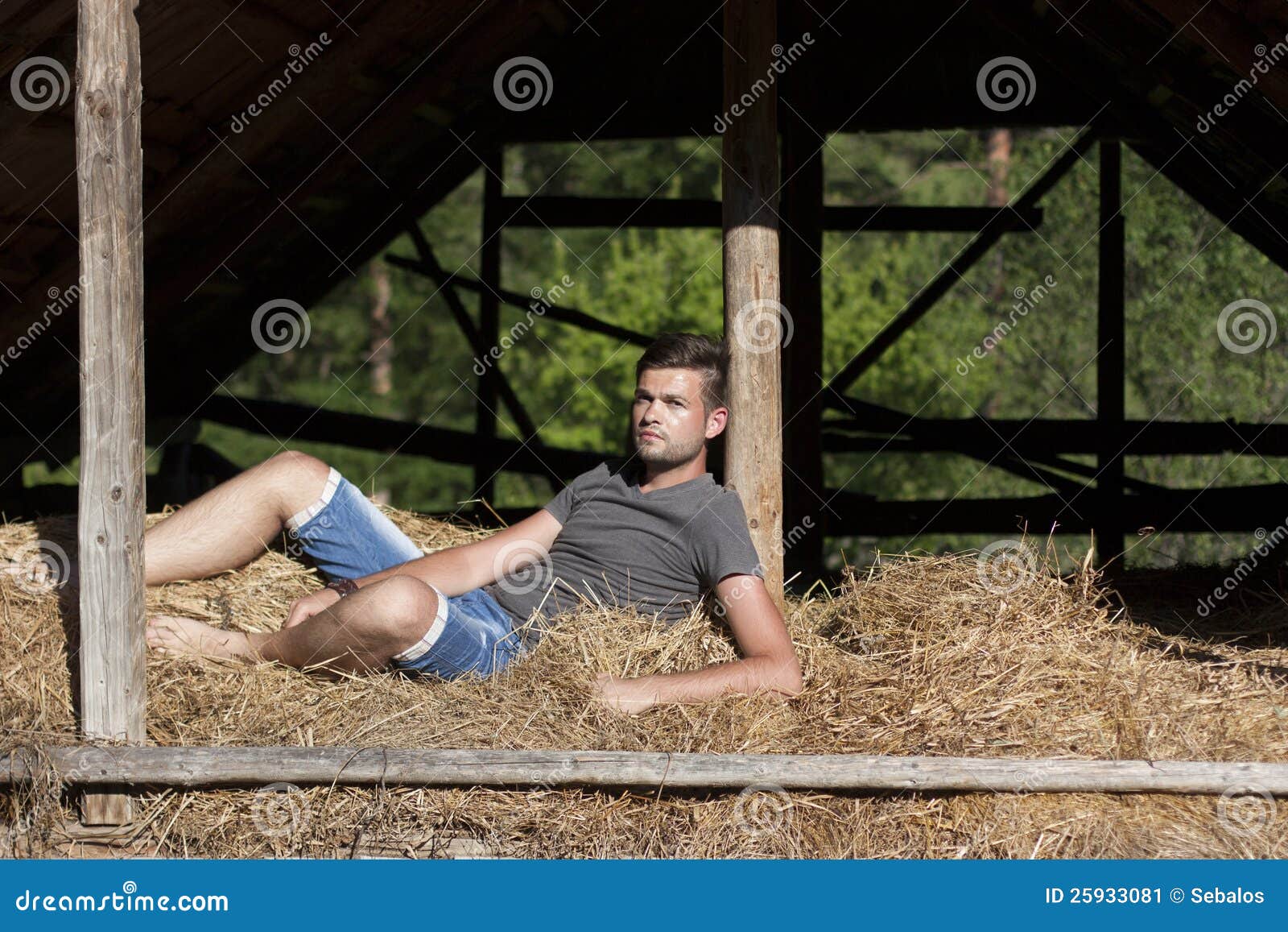 Man on hay stock image. Image of bails, holding, bare - 25933081