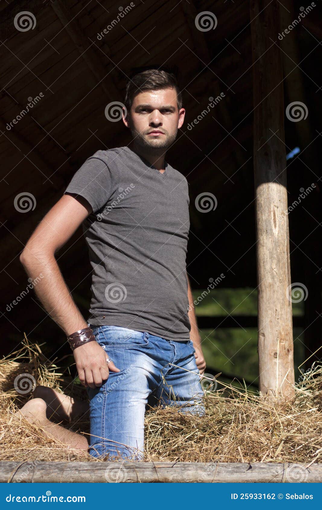 Man on hay stock photo. Image of bales, male, american - 25933162