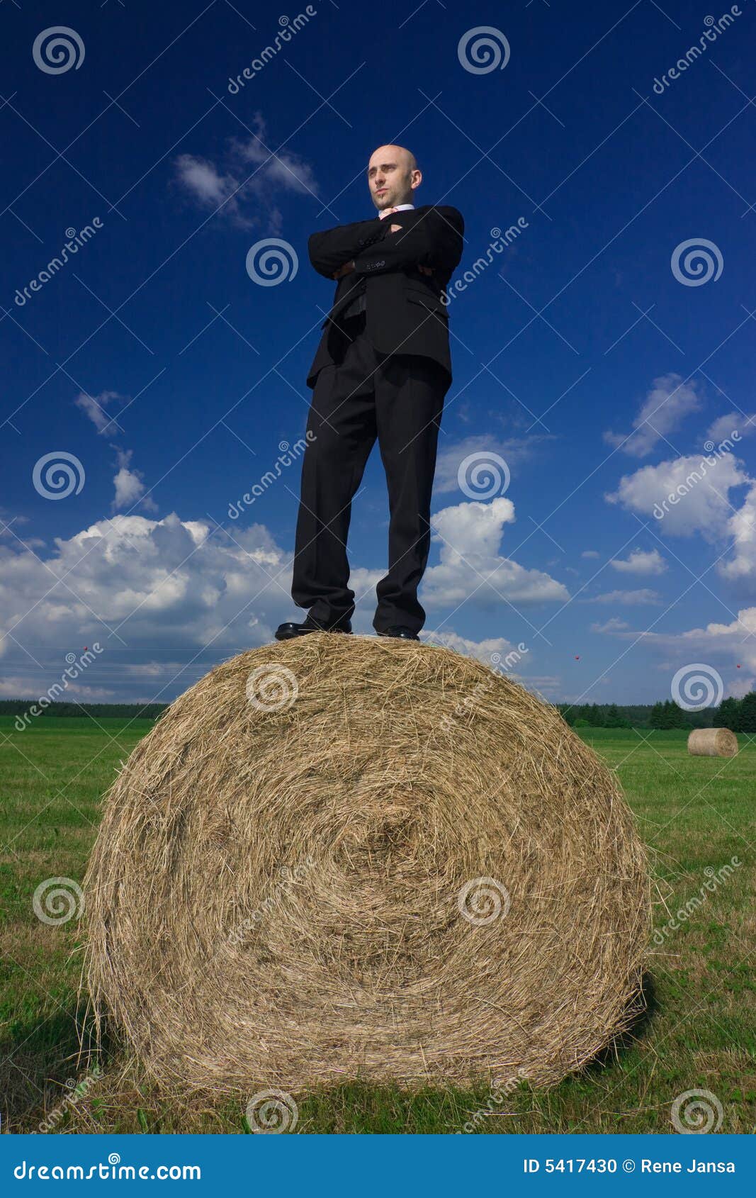 Man on Hay Bale stock photo. Image of crossed, businessman - 5417430