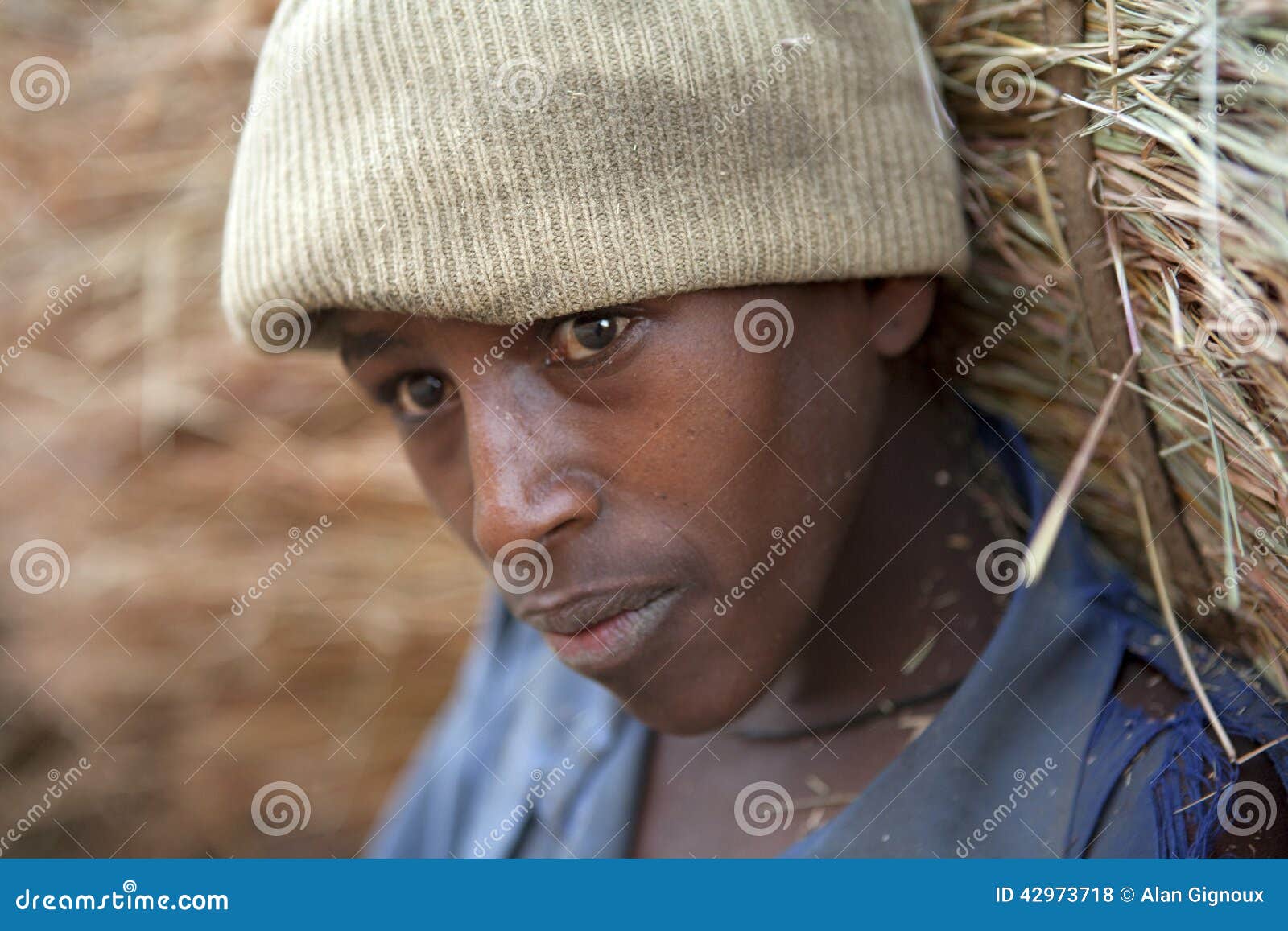 A Man with a Hay Bundle on His Back, Ethiopia Editorial Stock Photo ...