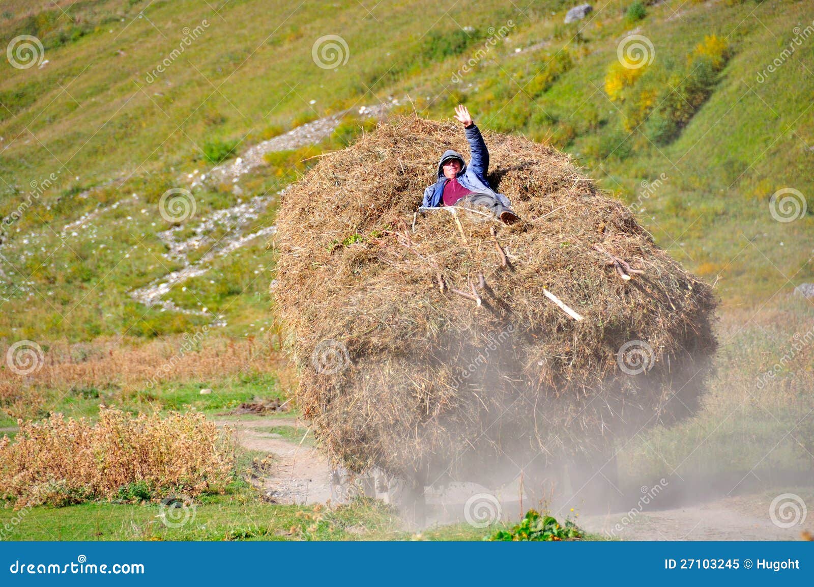 Man on Hay Stack editorial image. Image of employed, garden - 27103245