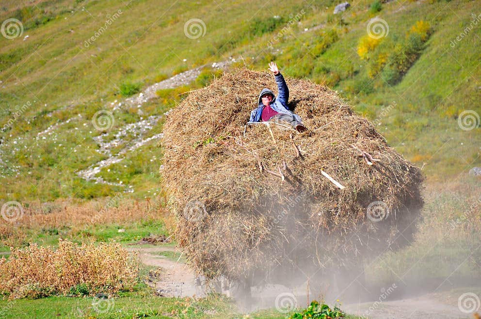 Man on Hay Stack editorial image. Image of employed, garden - 27103245