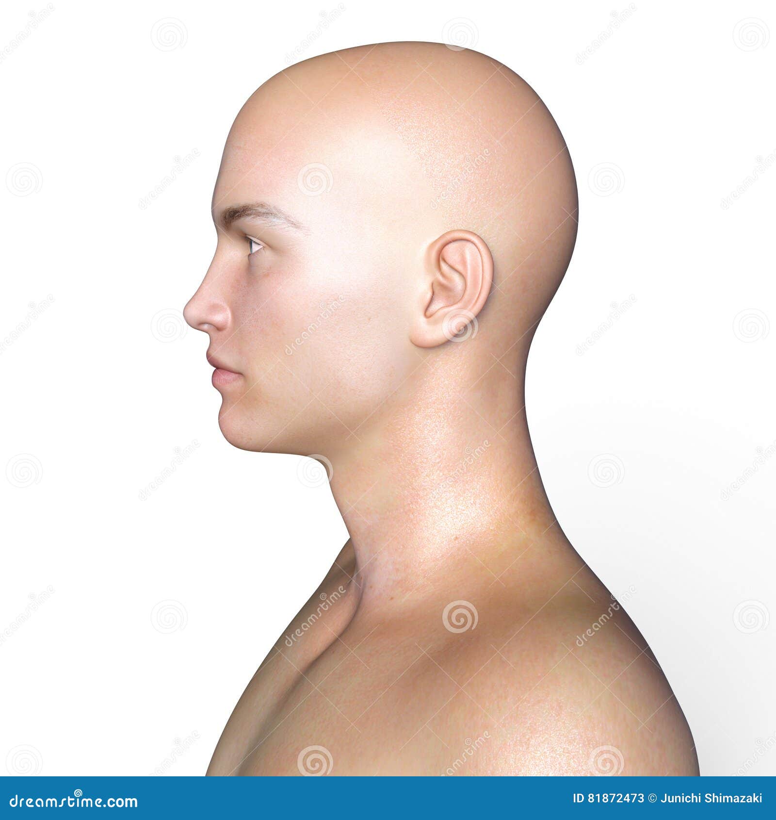Man head stock image. Image of angle, white, rendering - 81872473
