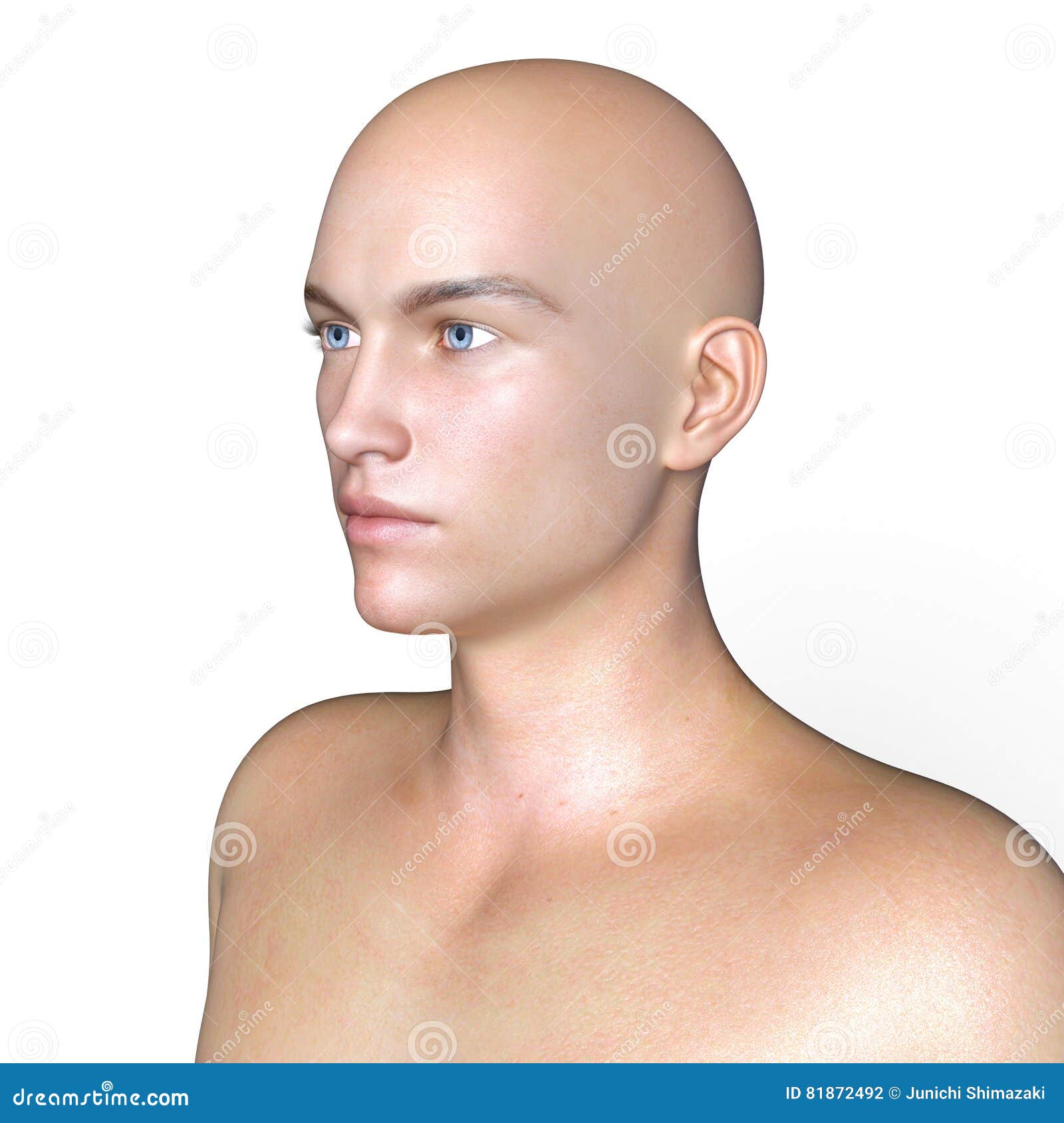 Man head stock photo. Image of neck, body, rendering - 81872492