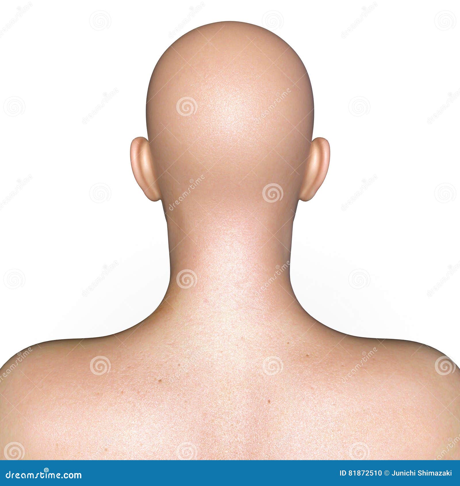 Man head stock illustration. Illustration of neck, white - 81872510