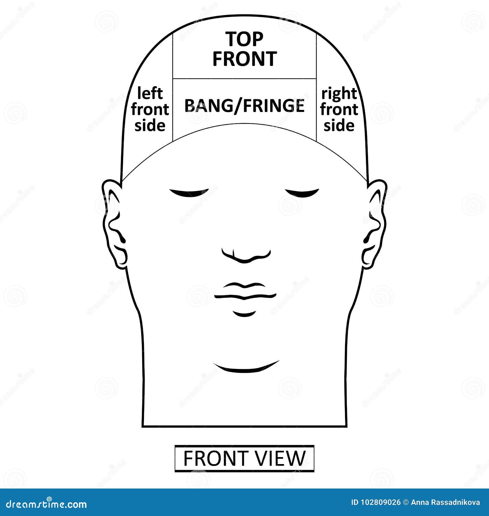 Man Head Divisions Scheme Vector Illustration | CartoonDealer.com ...