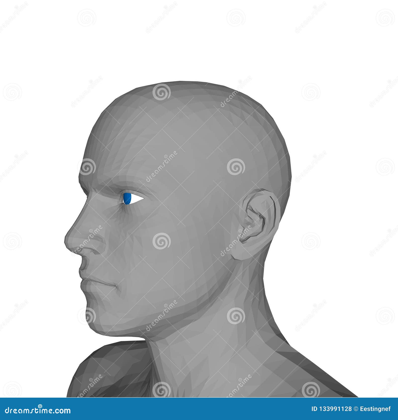 Man Head. Isolated On White Background. Vector Illustration Stock ...