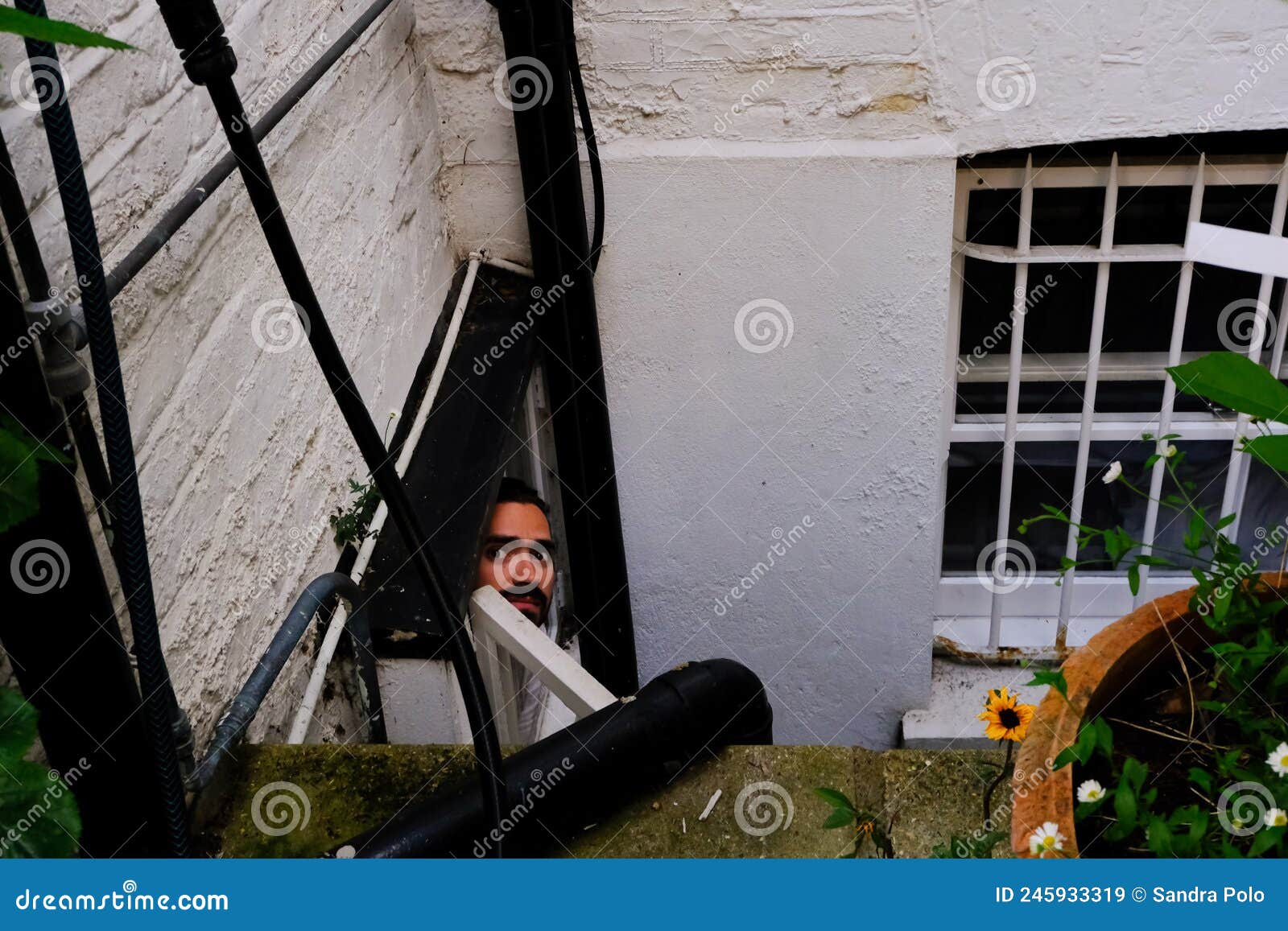 Man Head Outside the Window in the Basement Stock Image - Image of ...