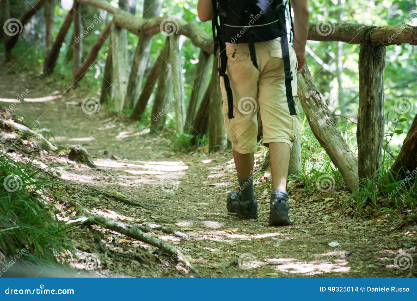 A man hicking in the woods stock photo. Image of feet - 98325014