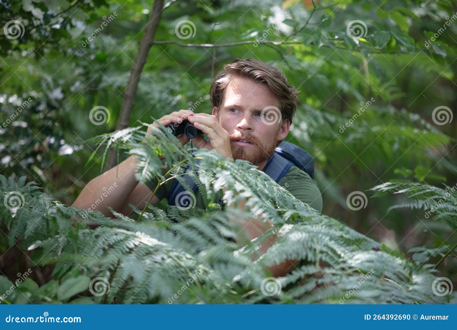 Man hidden in nature stock photo. Image of sunset, camera - 264392690