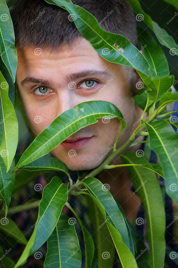 Man Hiding Behind Tree Leafs Stock Image - Image of modern, wellness ...