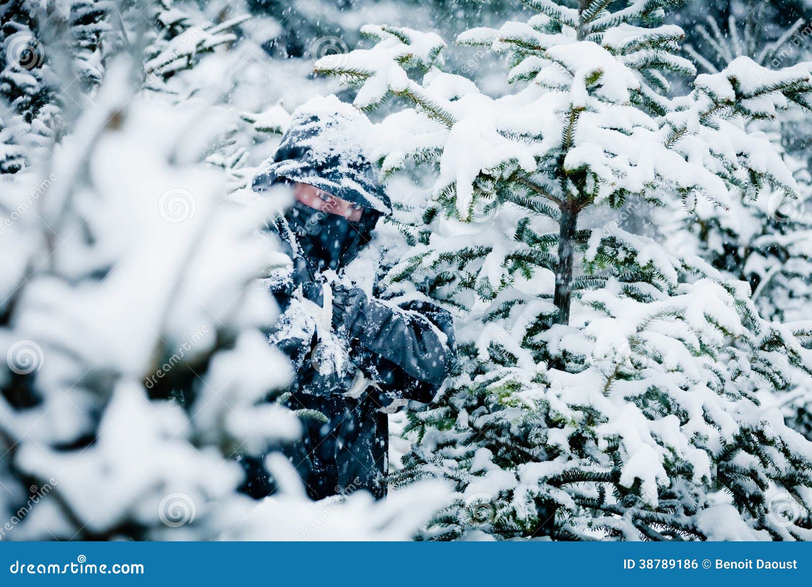 Man Hiding Behind Trees in Forest Stock Photo - Image of danger ...