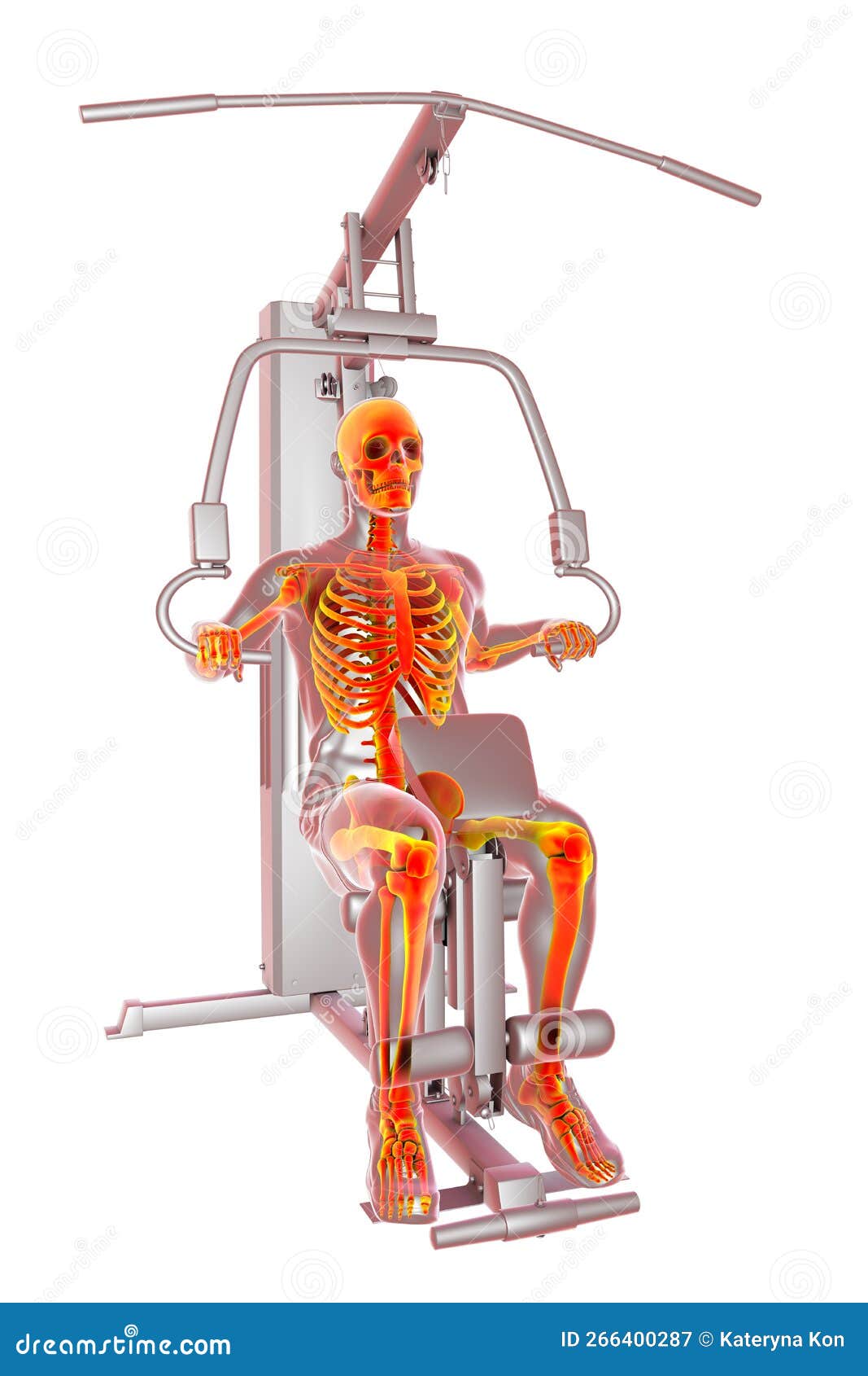 Man with Highlighted Skeleton Training on Hammer Strength Macine ...