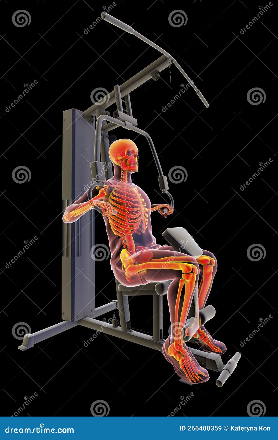 Man with Highlighted Skeleton Training on Hammer Strength Macine ...