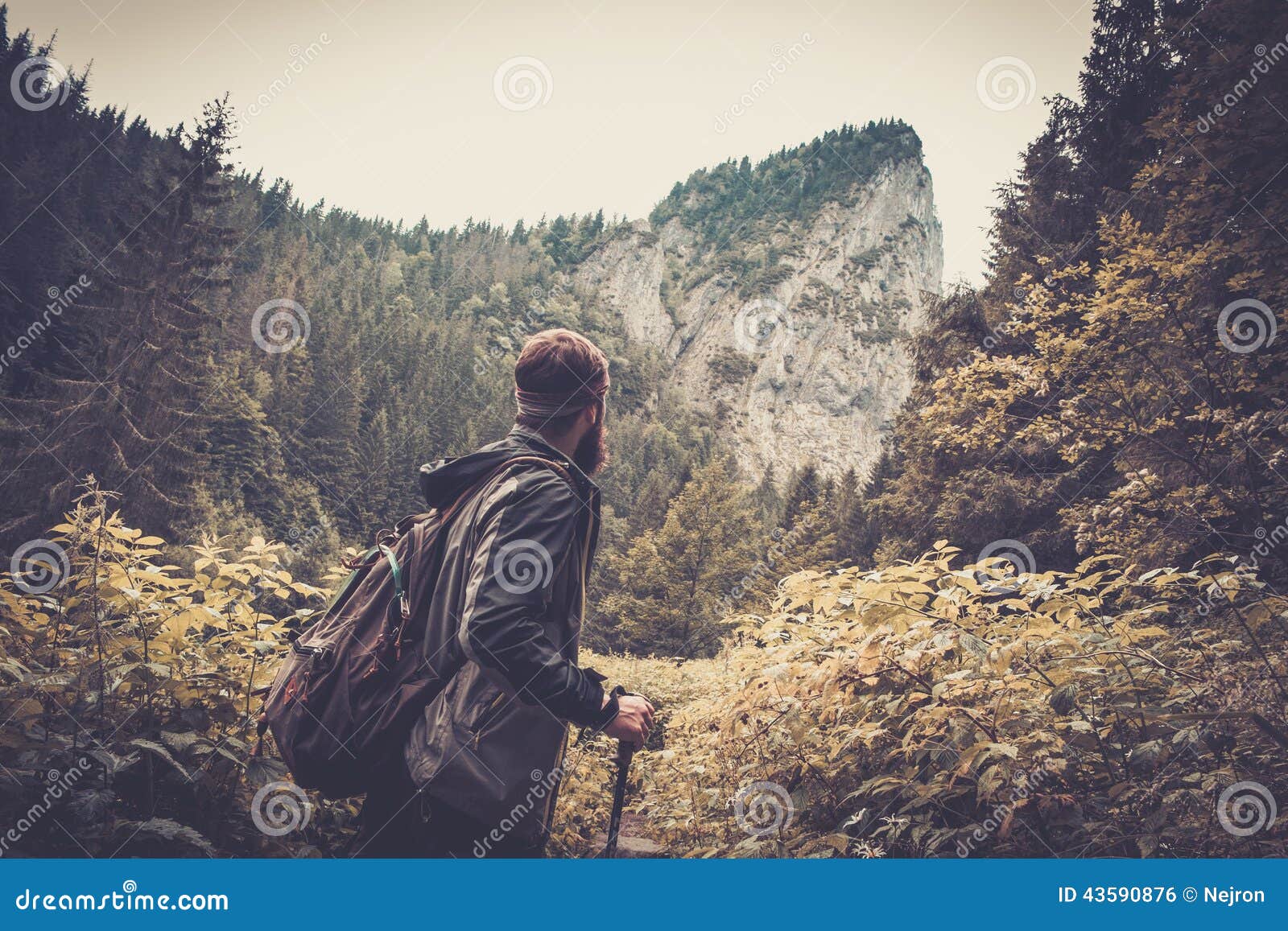 Man Hiker in Mountain Forest Stock Photo - Image of hiker, cliff: 43590876