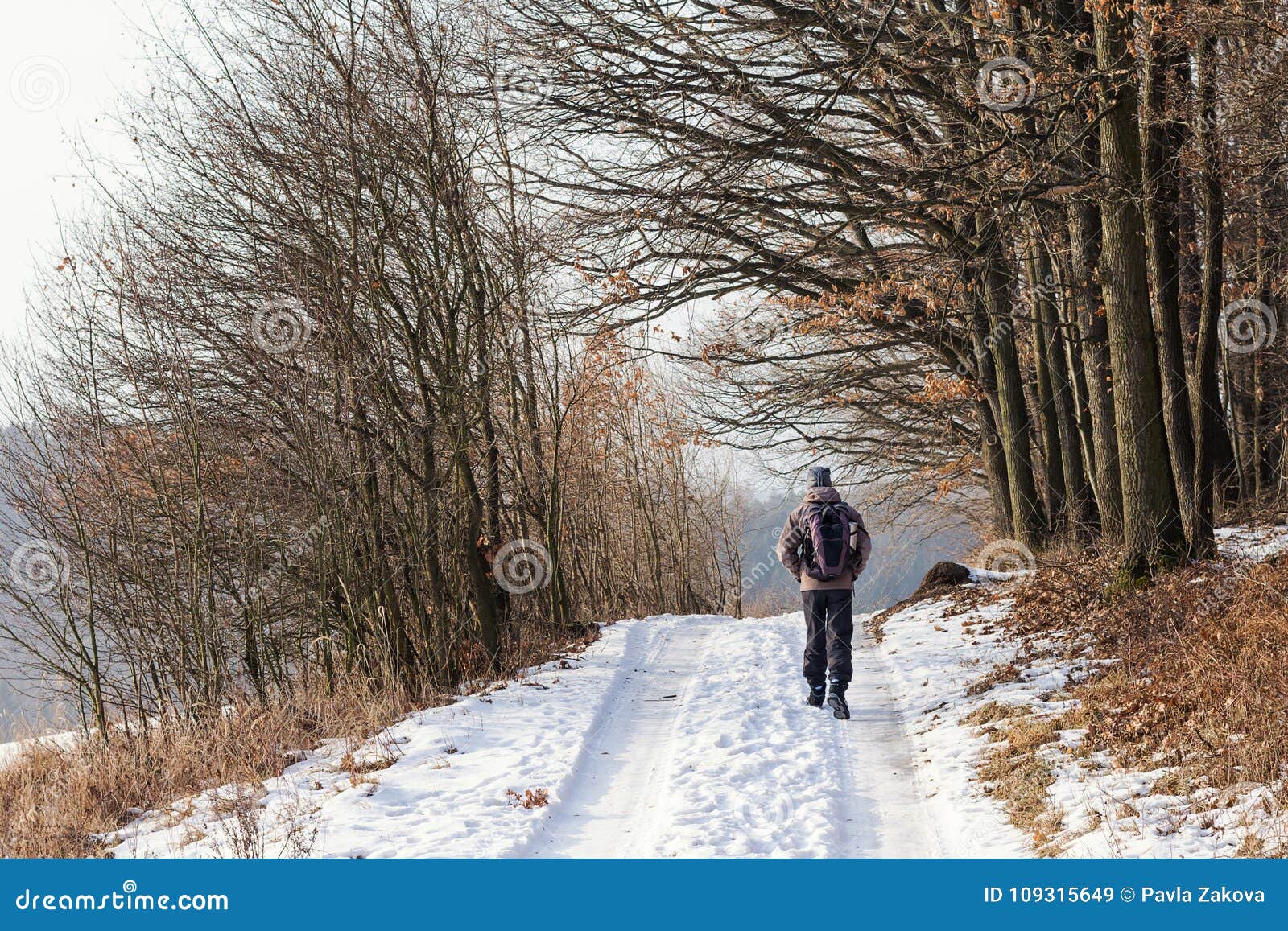 Man Walking Winter Nature Path Stock Image - Image of walking, back ...
