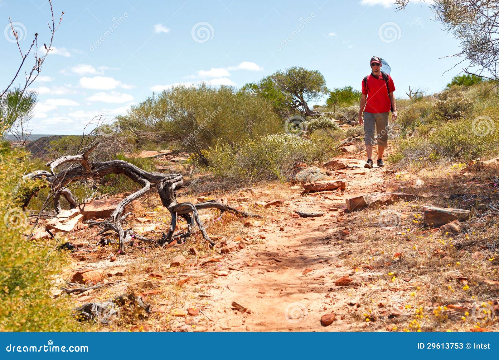 Man Hiking Australian Outback Stock Image - Image of cliff, mountain ...
