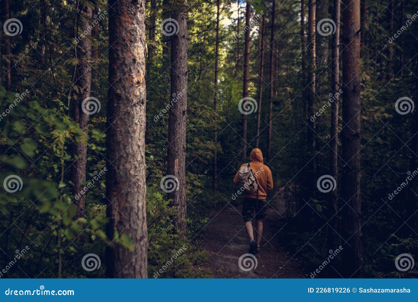 Man Hiking with Backpack in Green Forest. Back View Stock Photo - Image ...