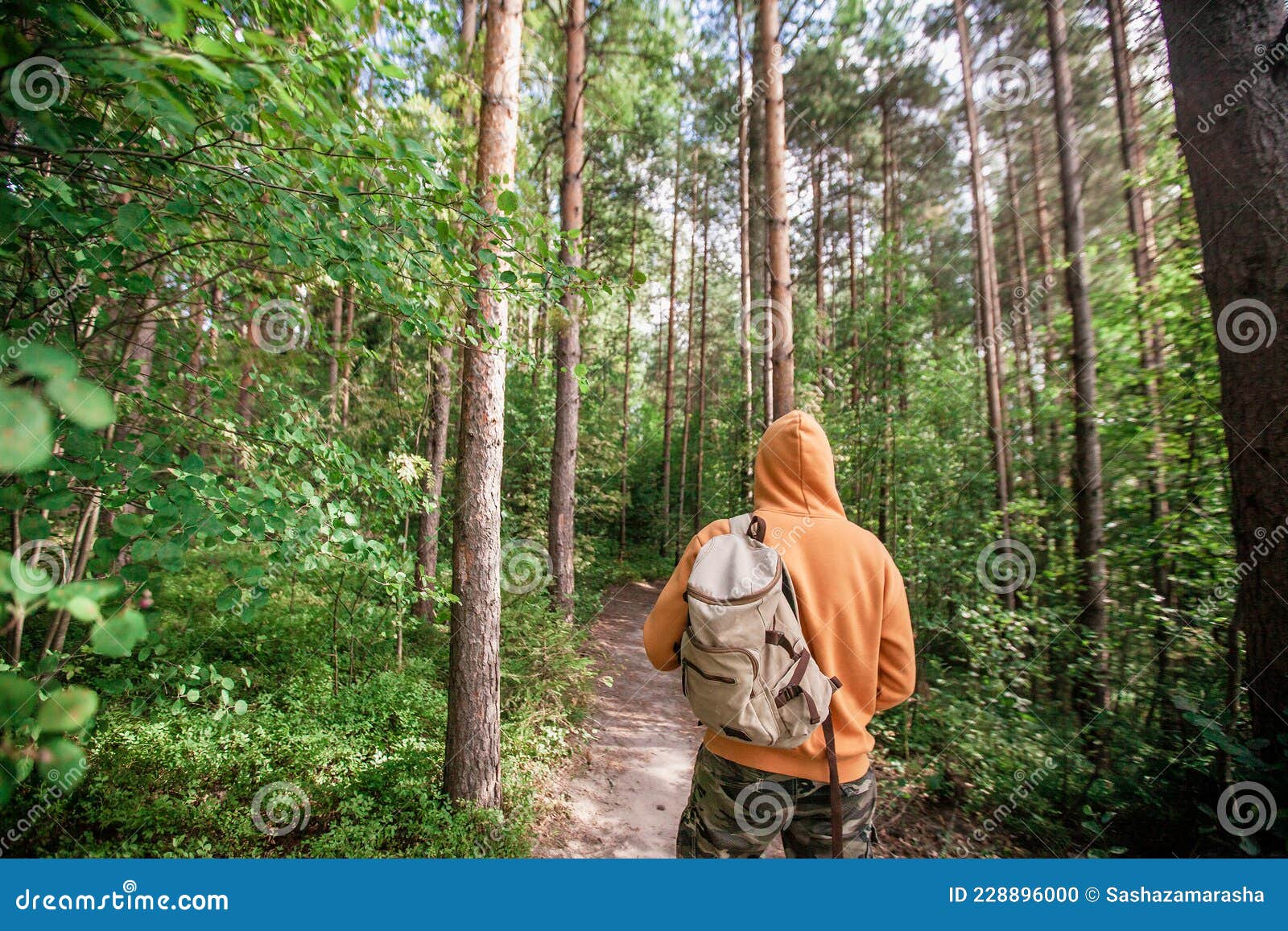 Man Hiking with Backpack in Green Forest. Back View Stock Photo - Image ...