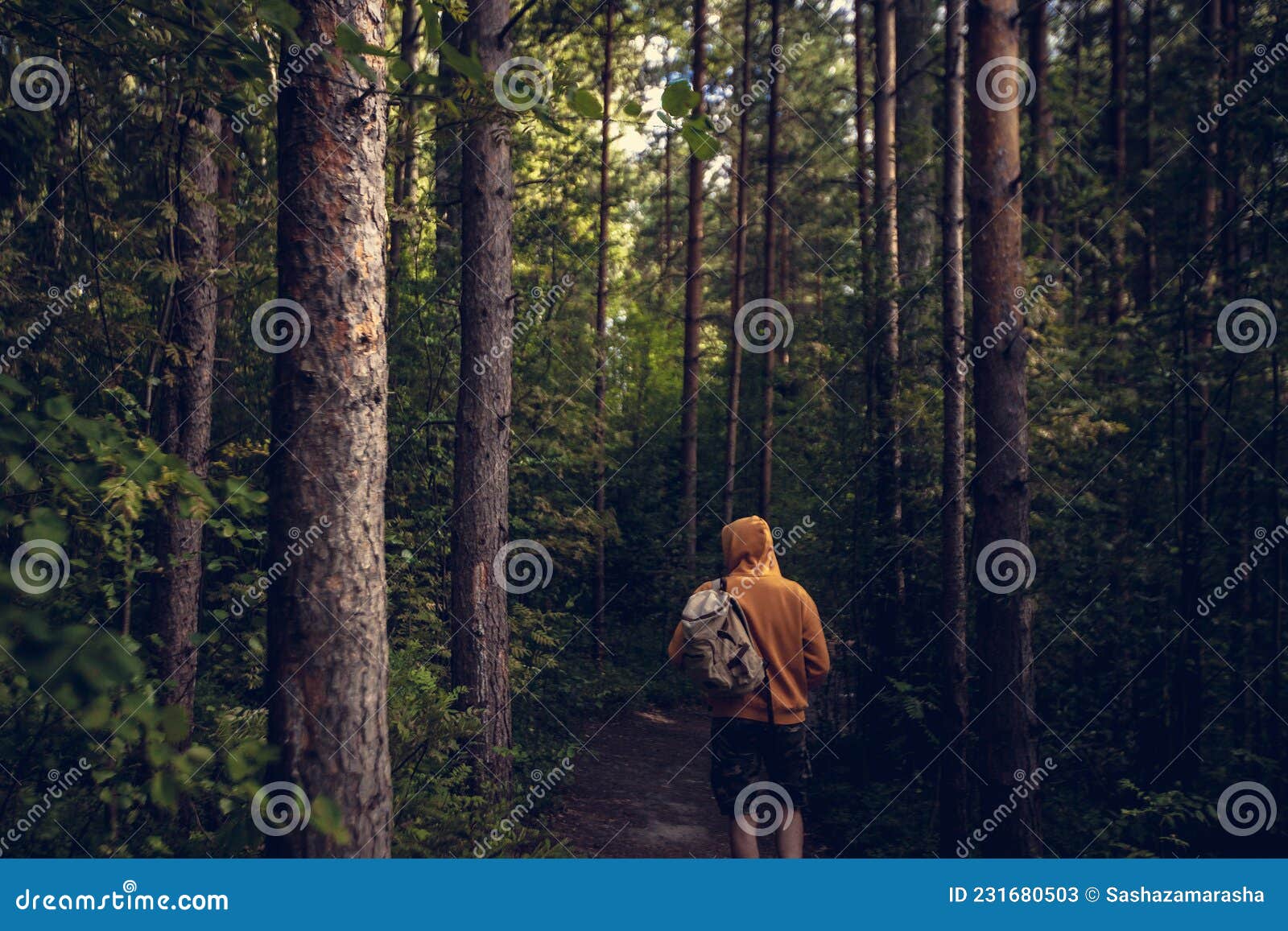 Man Hiking with Backpack in Green Forest. Back View Stock Image - Image ...