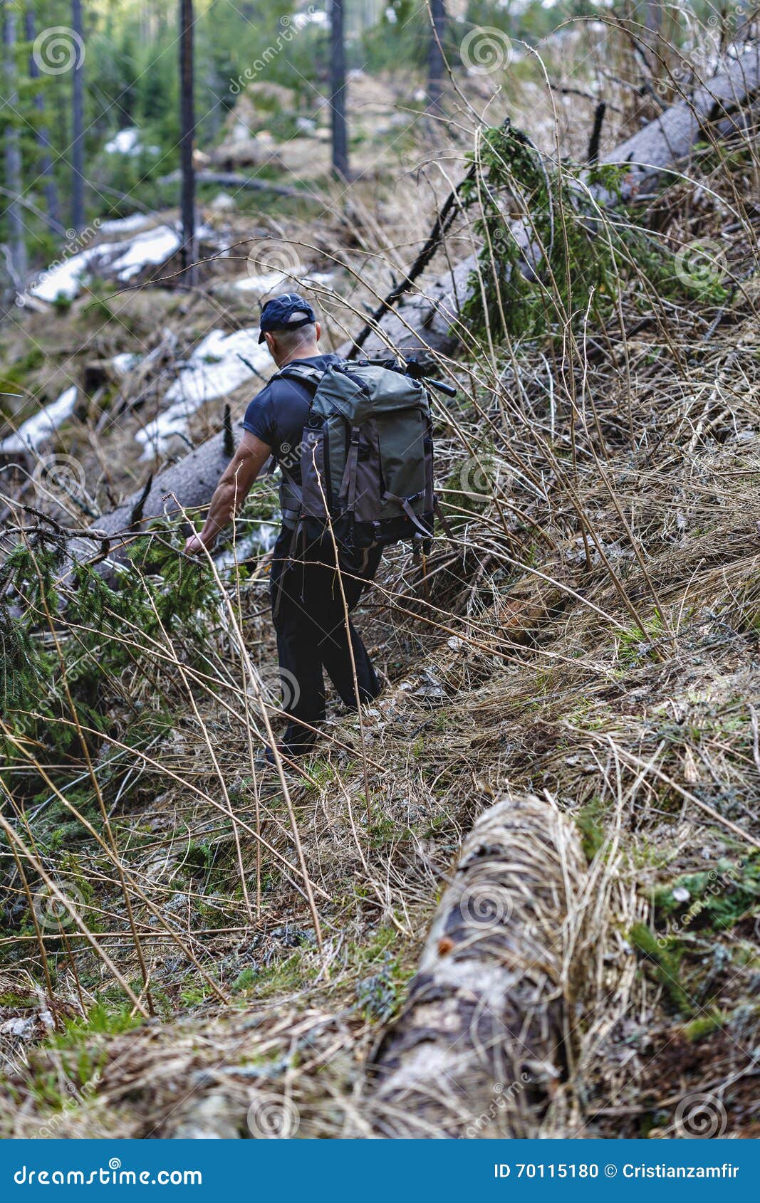 Man with Hiking Equipment Walking in Forest Stock Photo - Image of ...