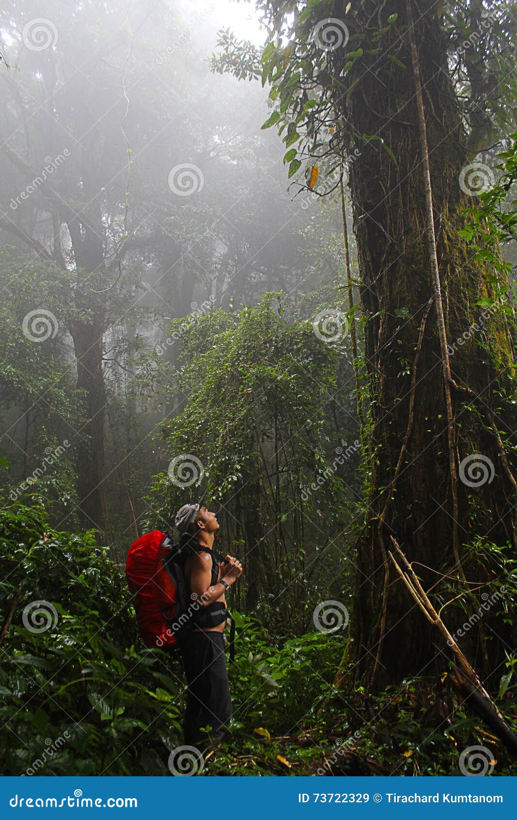 Man Hiking Equipment Walking in Mouton Forest Stock Image - Image of ...