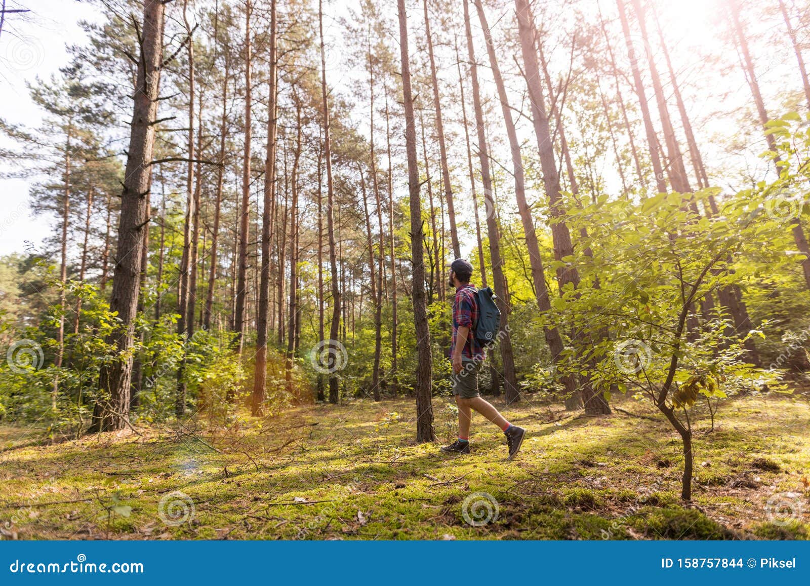 Man hiking in the forest stock photo. Image of happy - 158757844