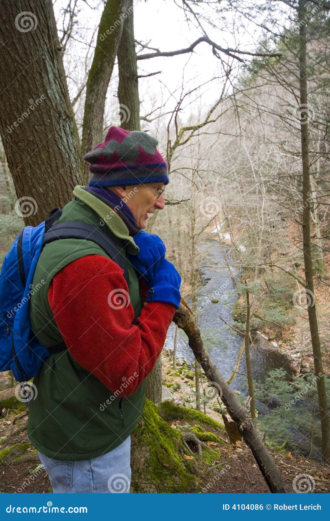 Man hiking in woods stock photo. Image of aged, hike, hiker - 4104086
