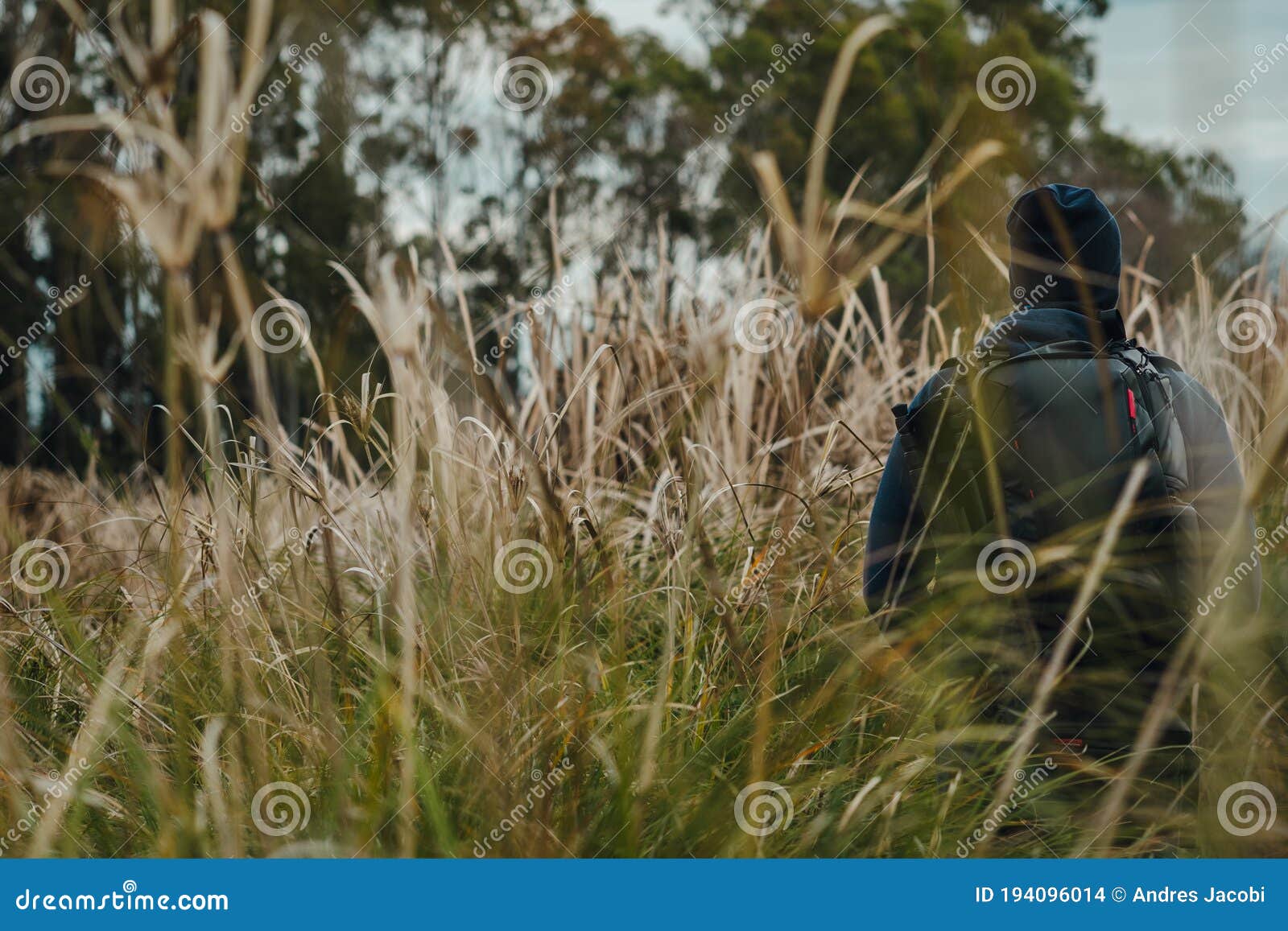 Man with His Back Turned in the Middle of Rushes. Autumn Fall. Copy ...