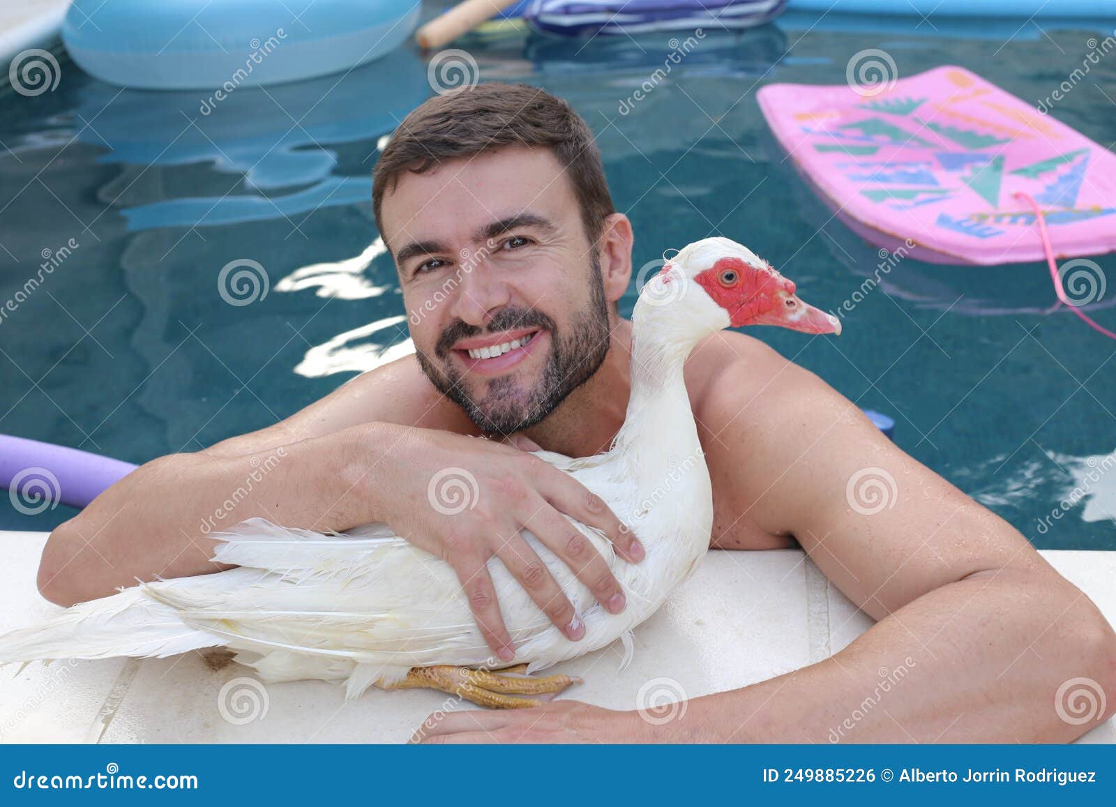 Man and His Cute Duck Pet on Vacations Together Stock Photo - Image of ...