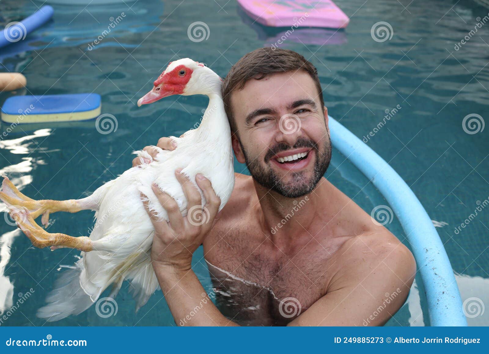 Man and His Cute Duck Pet on Vacations Together Stock Image - Image of ...