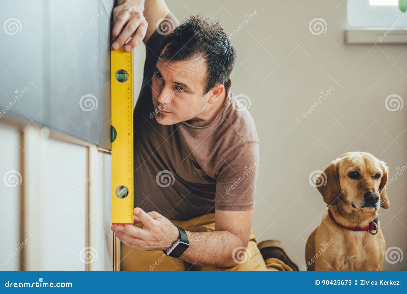 Man and His Dog Doing Renovation Work at Home Stock Image - Image of ...
