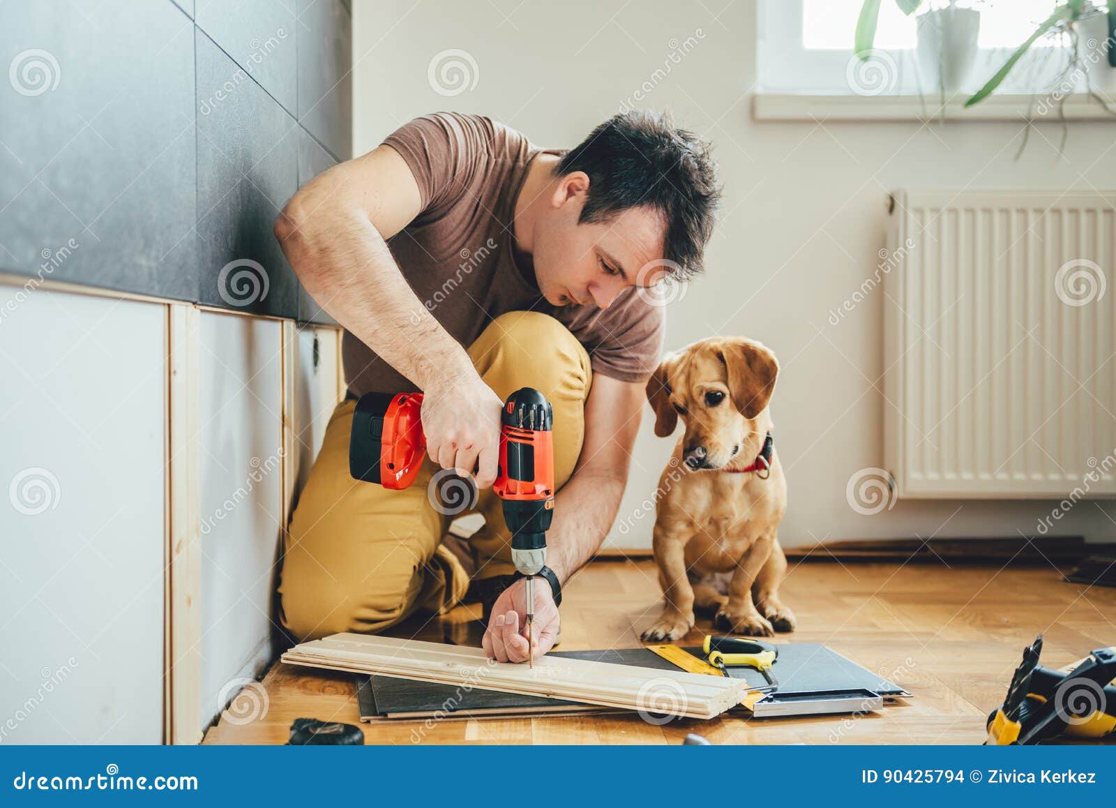 Man and His Dog Doing Renovation Work at Home Stock Photo - Image of ... Man and His Dog Doing Renovation Work at Home Stock Photo - Image of ...