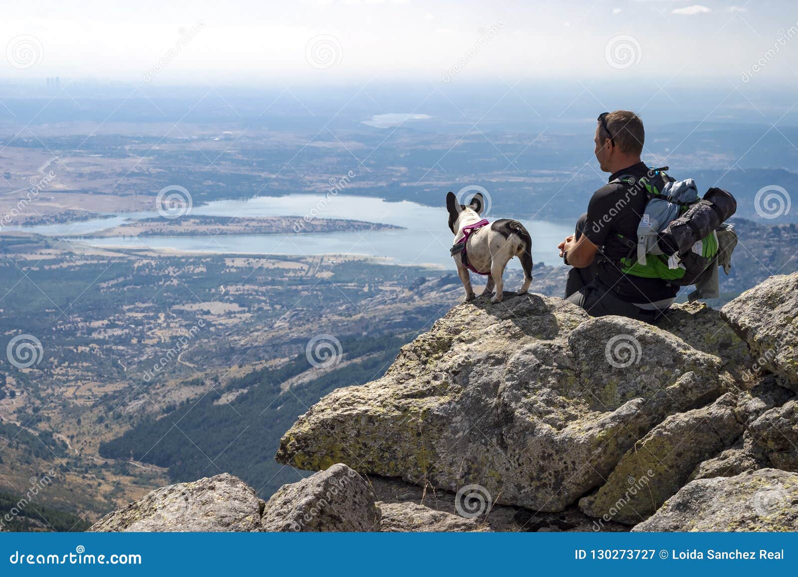 Man with His Dog Enjoying the Views Stock Image - Image of girl ...