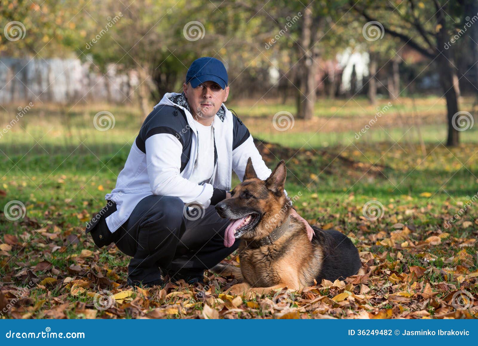 Man and His Dog German Shepherd Stock Photo - Image of loyalty ...